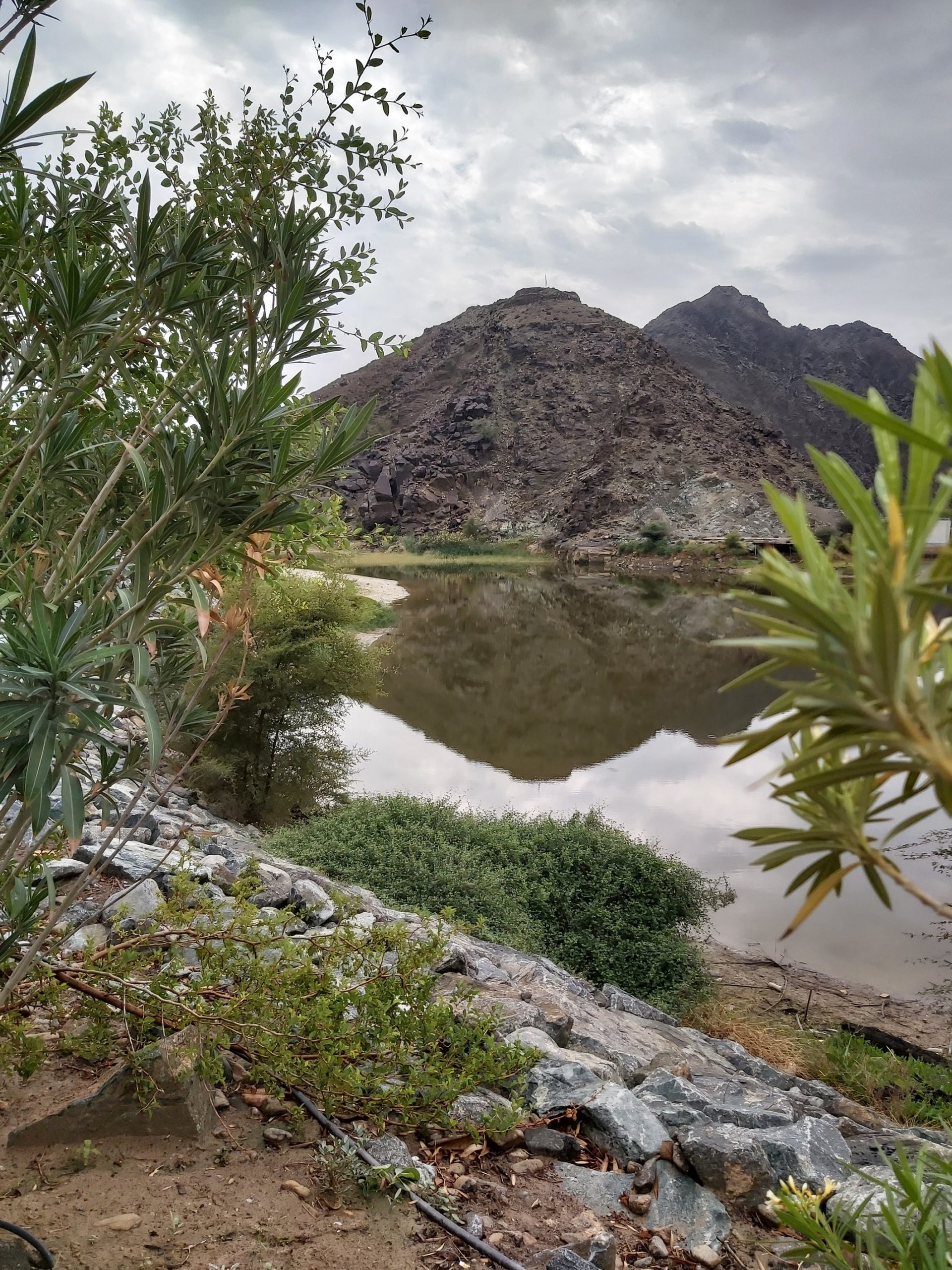 Wadi Shawka - The Wandering Whites